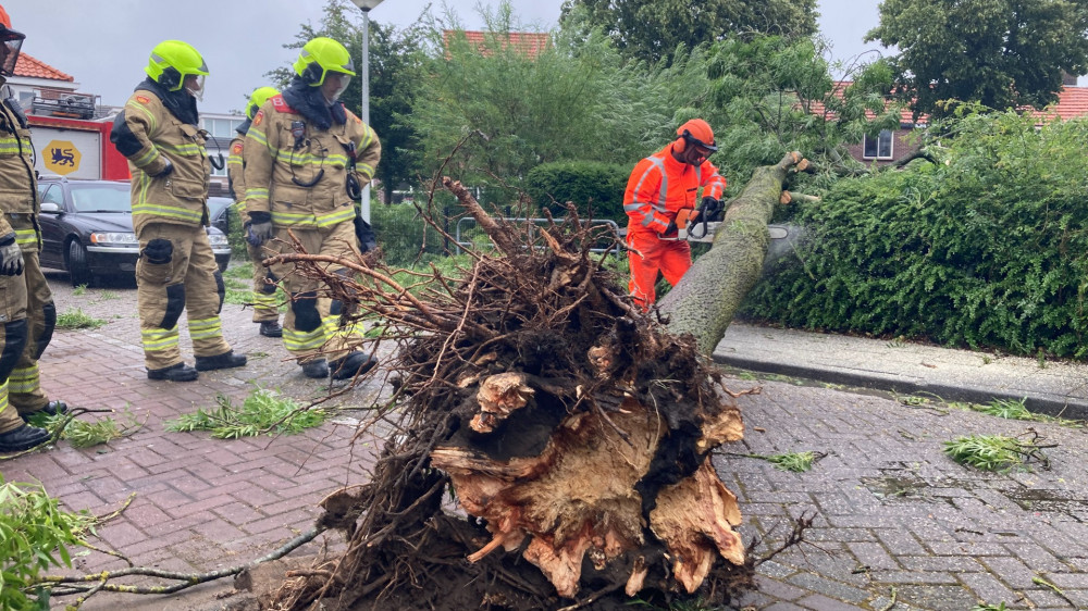 Code oranje en zware windstoten: storm Isha raast vannacht door de regio - NH Nieuws
